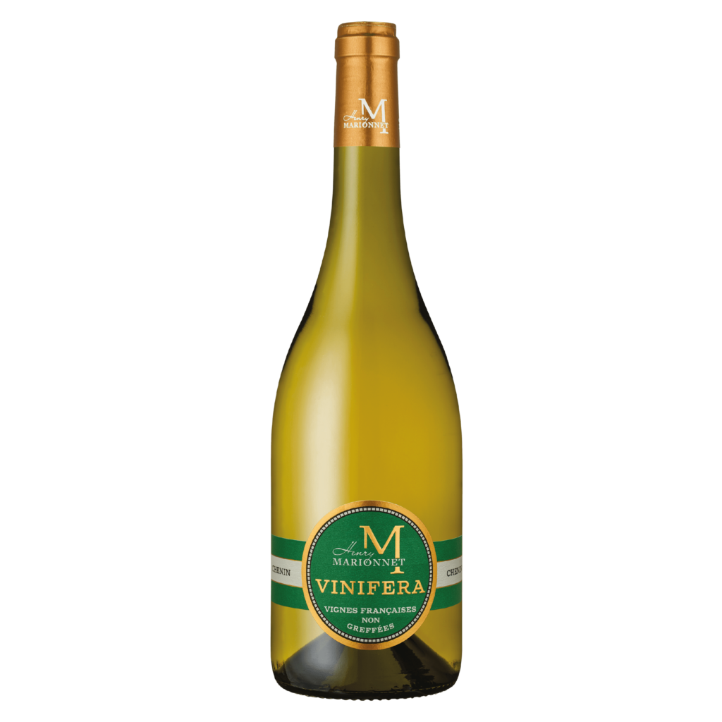 Vinifera Malbec (Côt) - Henry Marionnet