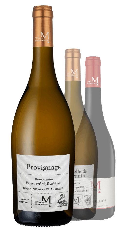 Henry Marionnet - Vins bio de Loire
