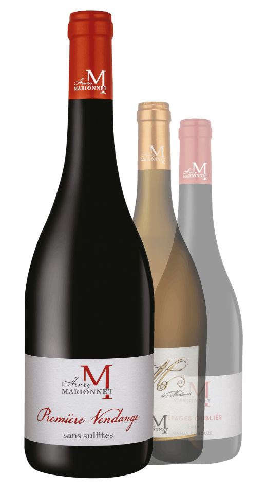 Henry Marionnet - Vins bio de Loire