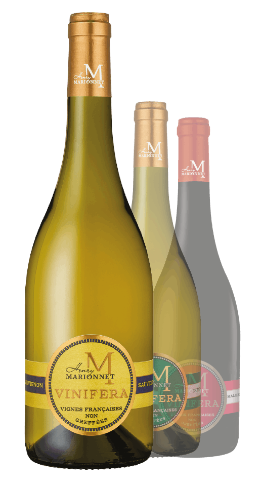 Henry Marionnet - Vins bio de Loire
